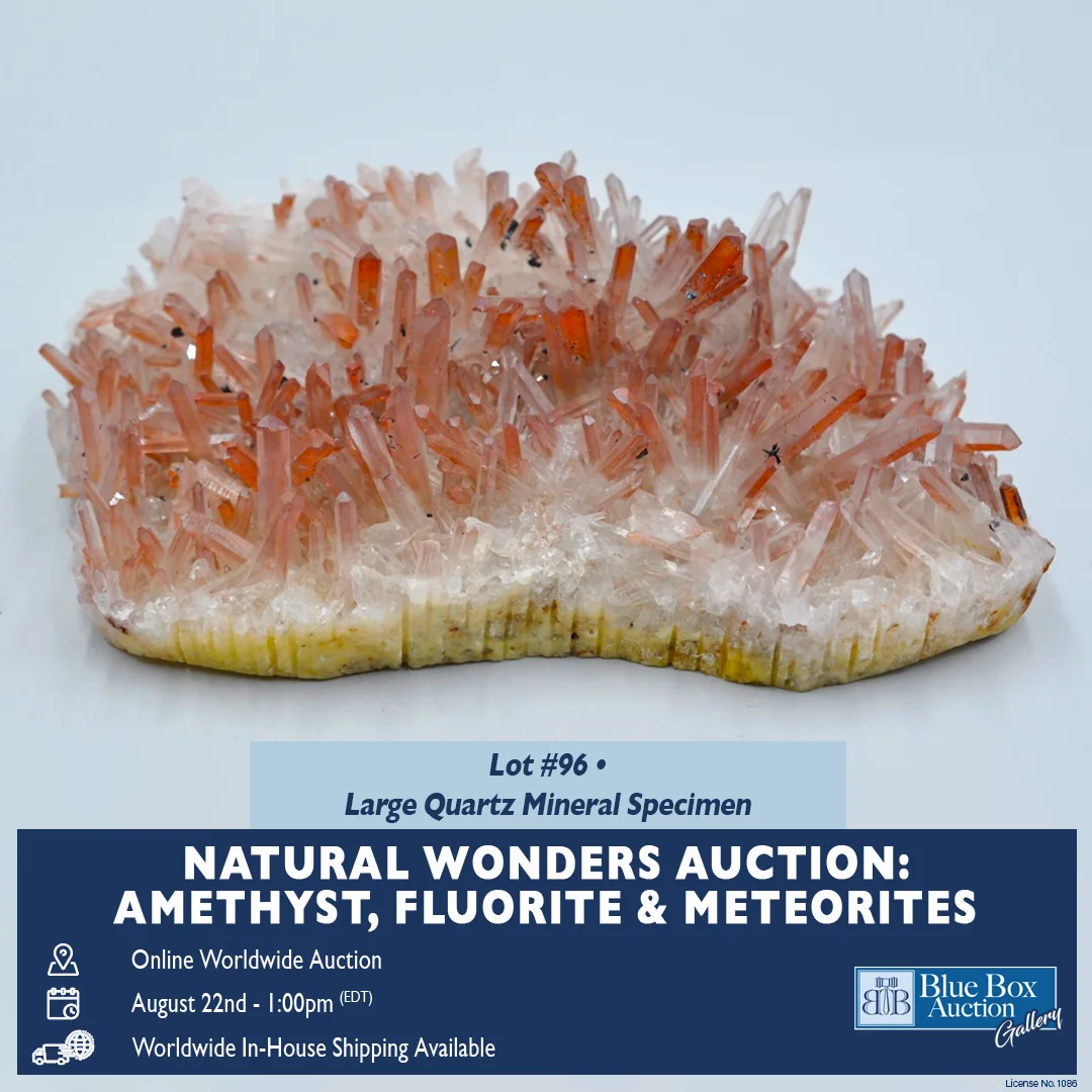 Minerals and Natural Wonders : Blue Box Auction Gallery